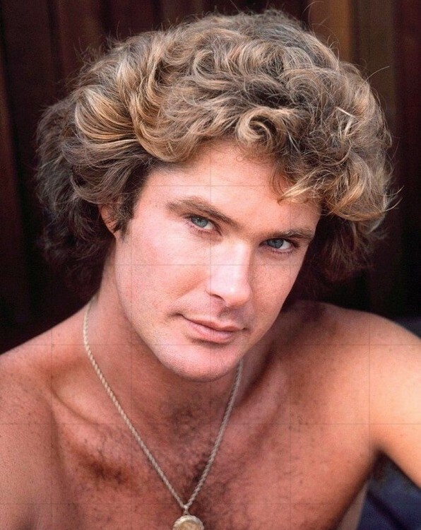 David Hasselhoff Fur David Hasselhoff | Baywatch | Fandom