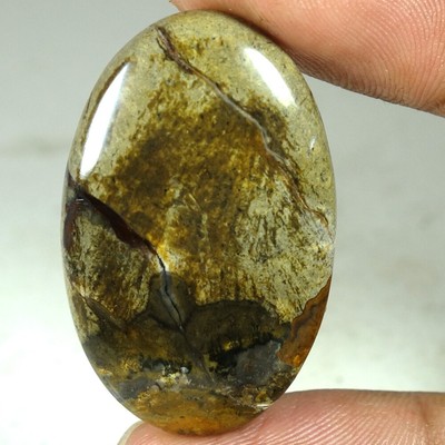 100% Natural Fossil Colus Agate Oval Cab Loose Gemstones 34.55Cts 22x ...