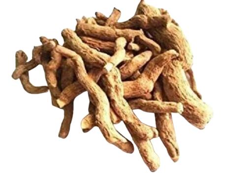 Indian Snakeroot (Sarpagandha) Whole Dried Roots Rauvolfia Serpentina ...