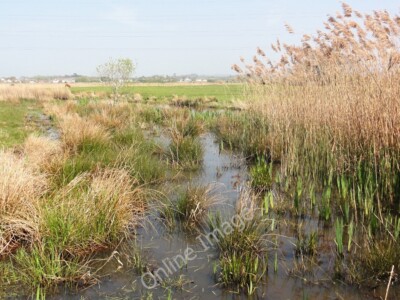 Photo 6x4 Flooded Ground on Exminster Marshes Looking out over the ...