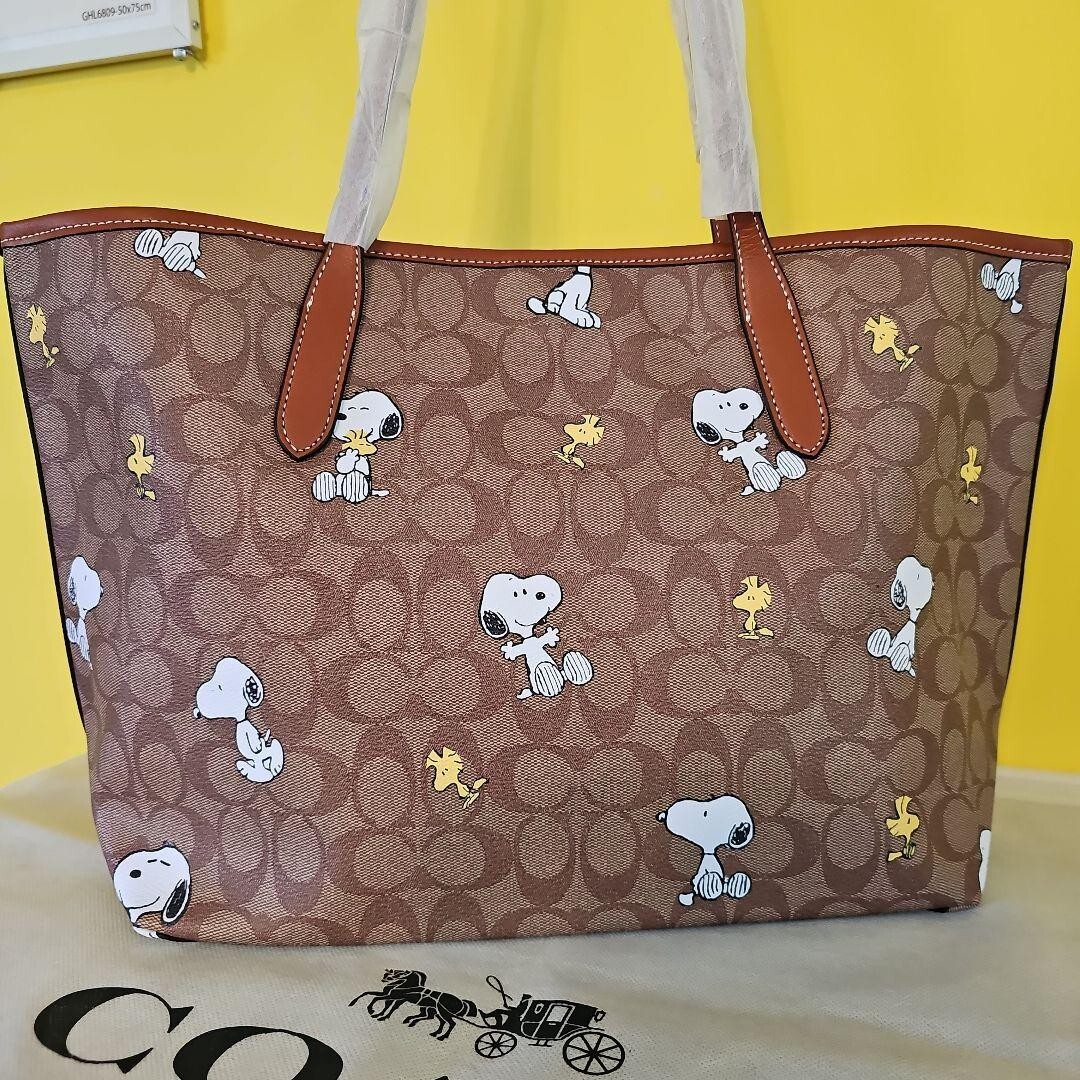 Coach Peanuts Snoopy CF166 Khaki Redwood Multi Tote Bag Signature ...