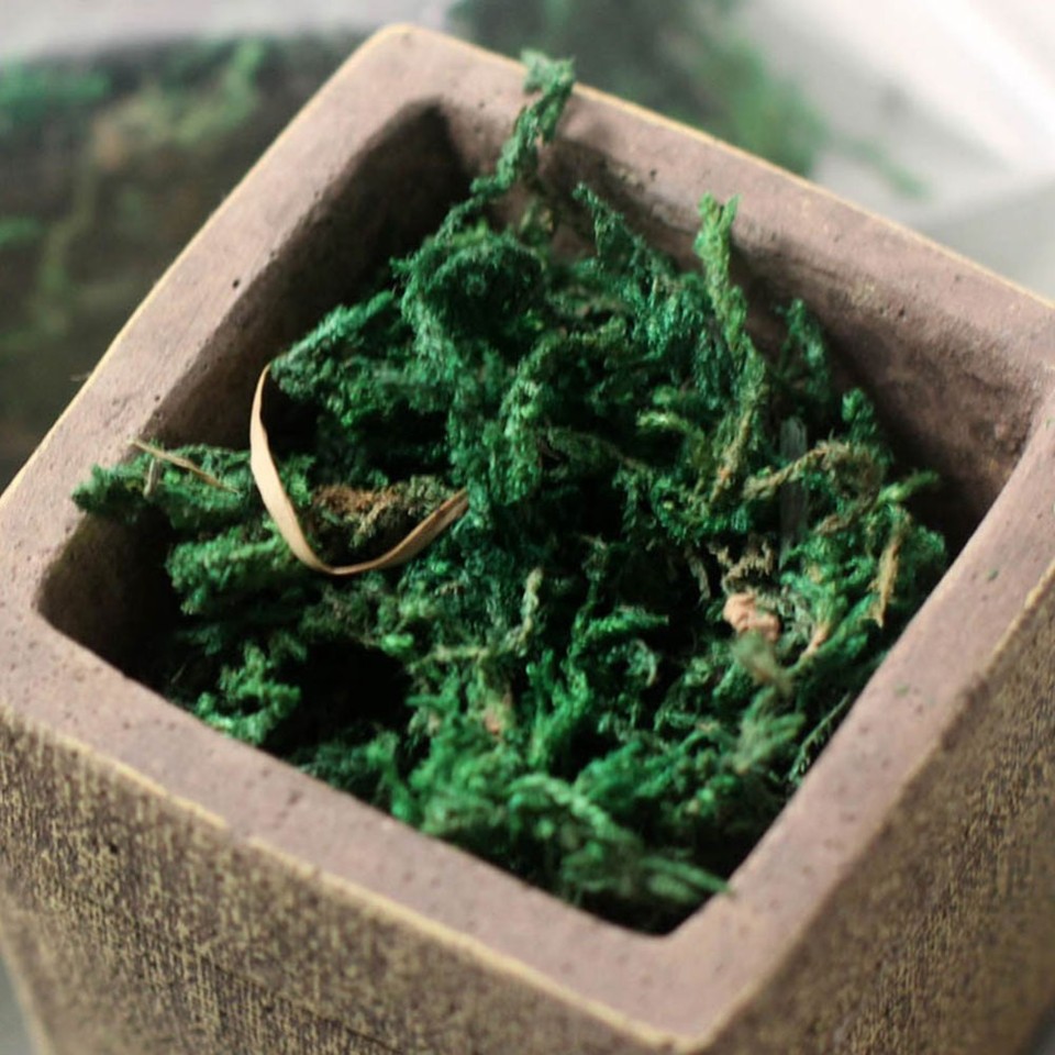 5 Packs Simulated Moss Accessories Artificial Fake Green Plants ...