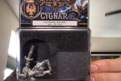 Warmachine Cygnar Journeyman Warcaster Solo PIP31016 | eBay