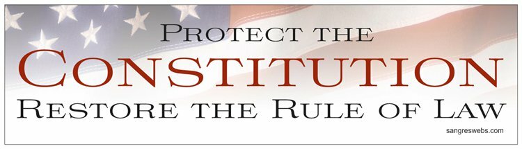 PROTECT THE CONSTITUTION, 3"x11" indestructible 2025 patriotic bumper ...