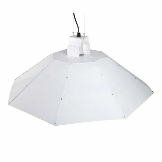 Parabolic Grow Lights | Shelly Lighting