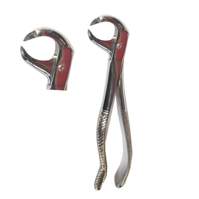 Professional Dental Eagle Beak Lower Molar Tooth Extraction Forceps SS ...