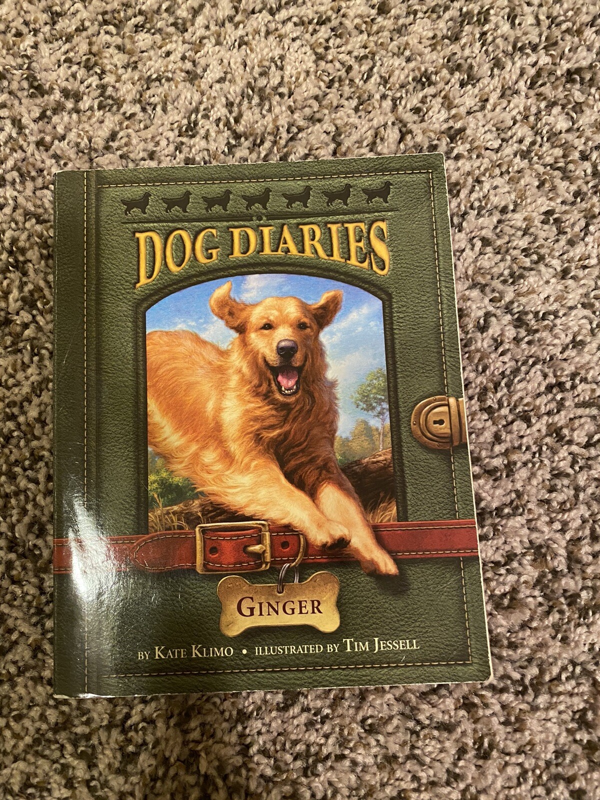 Dog Diaries: Ginger by Bonnie Worth and Kate Klimo (2013, Trade ...