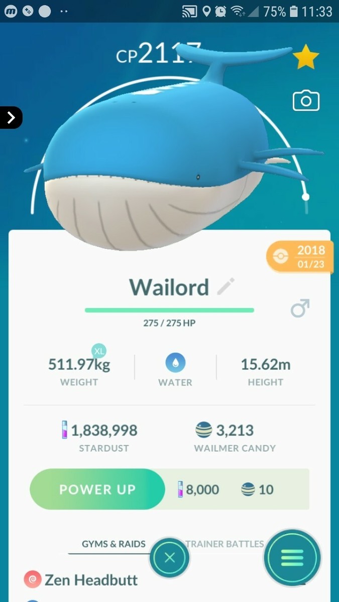 Wailord Evolution Chart