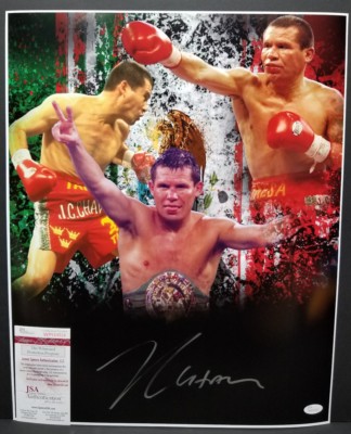 JULIO CESAR CHAVEZ Signed Autographed Boxing Legend 16x20 PHOTO ...