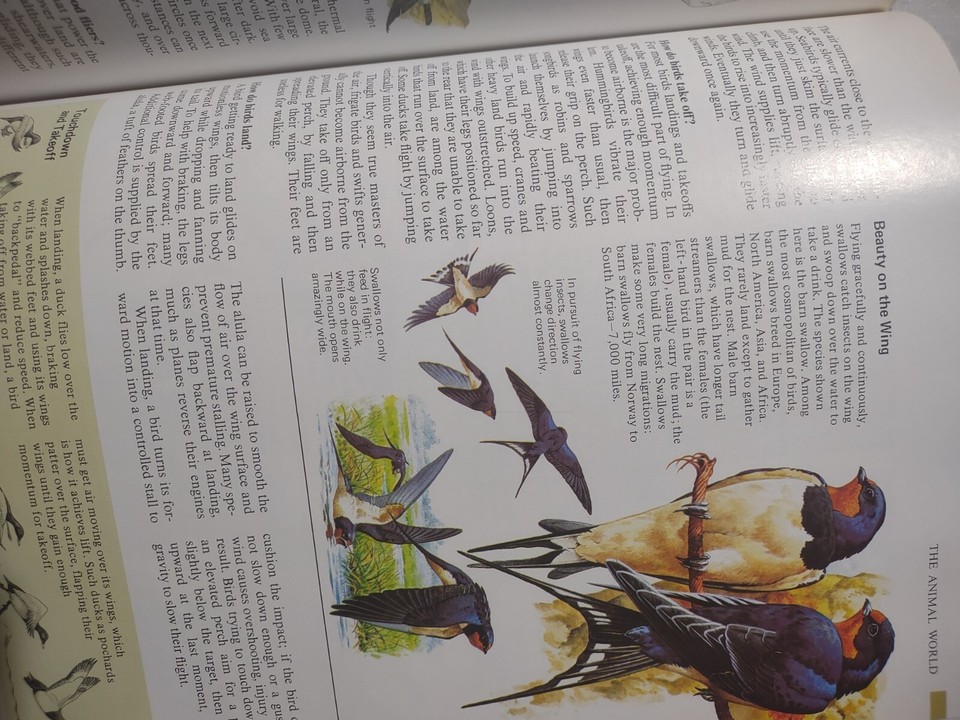 ABCs of Nature A Family Answer Book by Reader's Digest 1985 5824 | eBay