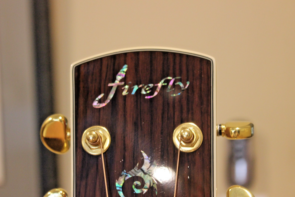 Firefly GD45-E Solid Spruce Top Rosewood Back & Sides Acoustic Electric ...