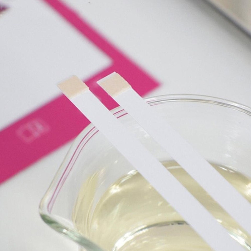 Ketone Test Strips Accurate Keto Strips For Testing Ketones Kit Urine ...