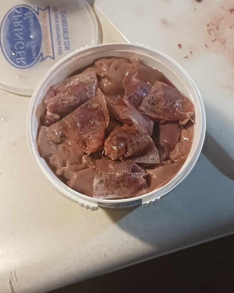 HTT Biodegradable Bait Bags Chicken Liver Catfish Fishing Bait Bags ...