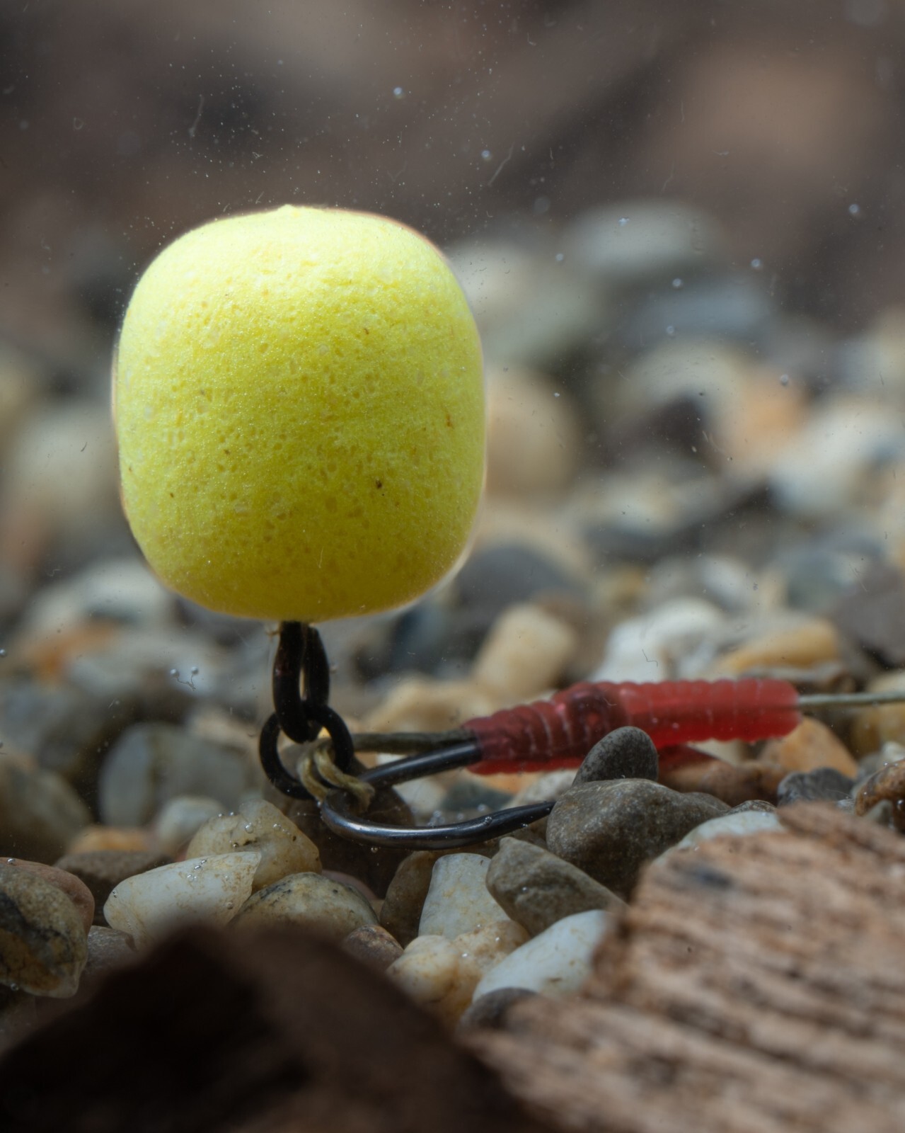 Parker Baits Magic Bean Wafters 15mm Tub Carp Fishing Hookbaits - All ...
