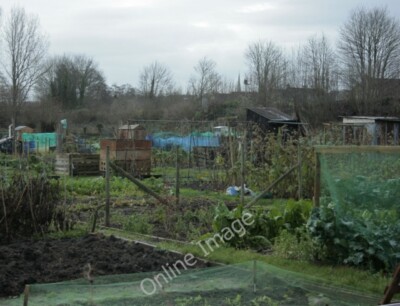 Photo 6x4 2009 : Allotments on Welshmill Lane Frome Making good use of ...