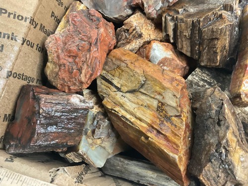 Z~ Petrified Wood Rough 20 Lb Lot # 1 | eBay
