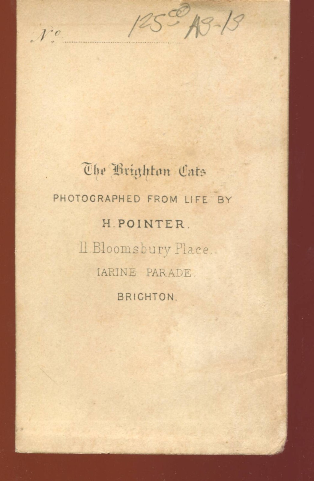 Antique CDV photograph of the Brighton Cats by H Pointer | eBay