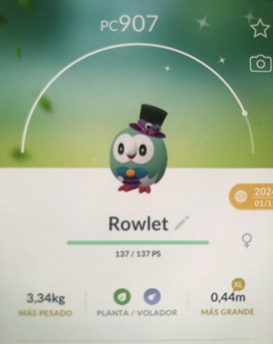 Trade shiny Rowlet with Hat Pokemon (Registered Trade Only) | eBay