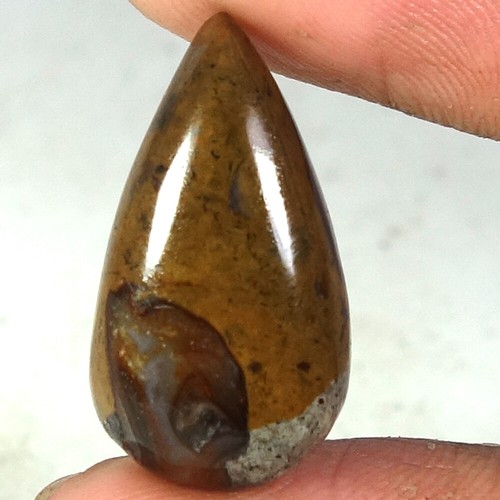 100% Natural Fossil Colus Agate Pear Cabochon Gemstones 13.20Cts 12x ...