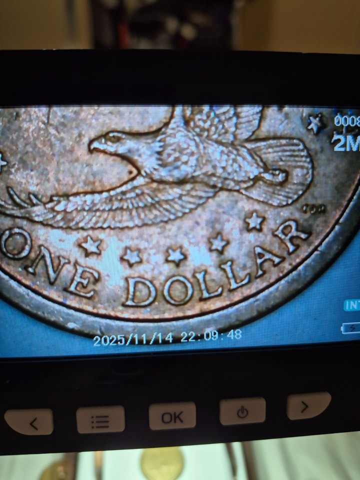 2000 P Sacagawea Dollar coin.This Beautiful coin was minted in ...