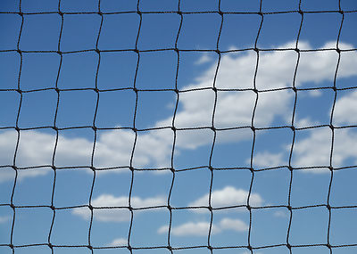 Heavy Duty Game Netting Net Strong Vegetable 28mm Garden Pheasant Pen ...