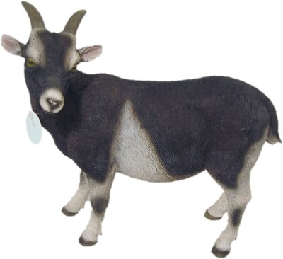 Vivid Arts - Farm Life Collection Goat - Home/Garden Decor (XRL-GOAT-D ...