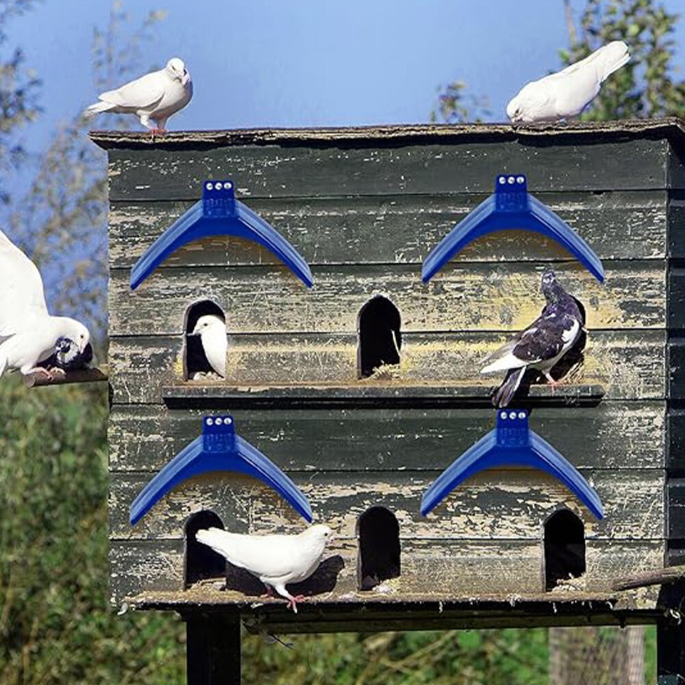 10-40Pcs Dove Pigeon Rest Stand Frame Dwelling Roost Perches Birds Rest ...