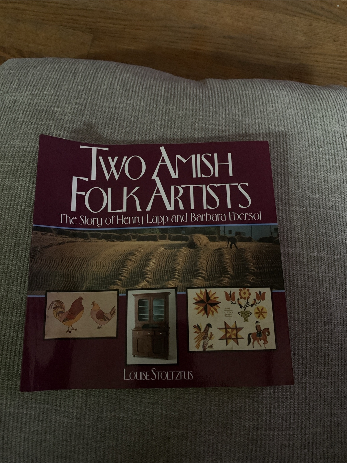 Two Amish Folk Artists : The Story of Henry Lapp and Barbara Ebersol by ...