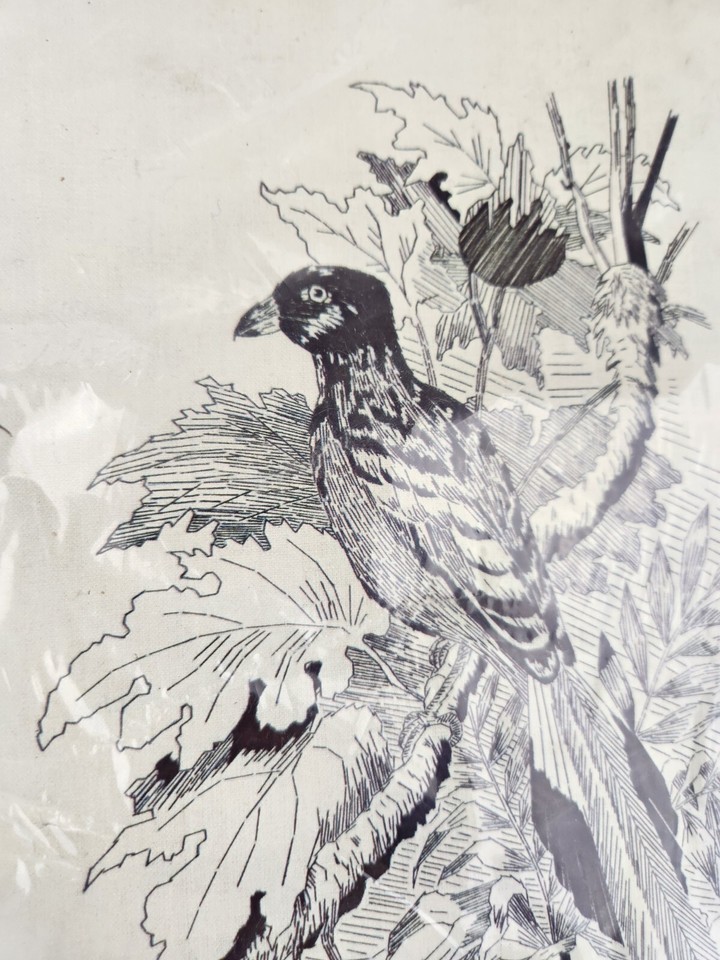 paragon needle craft tropical bird Needlepoint Pattern Complete Kit ...