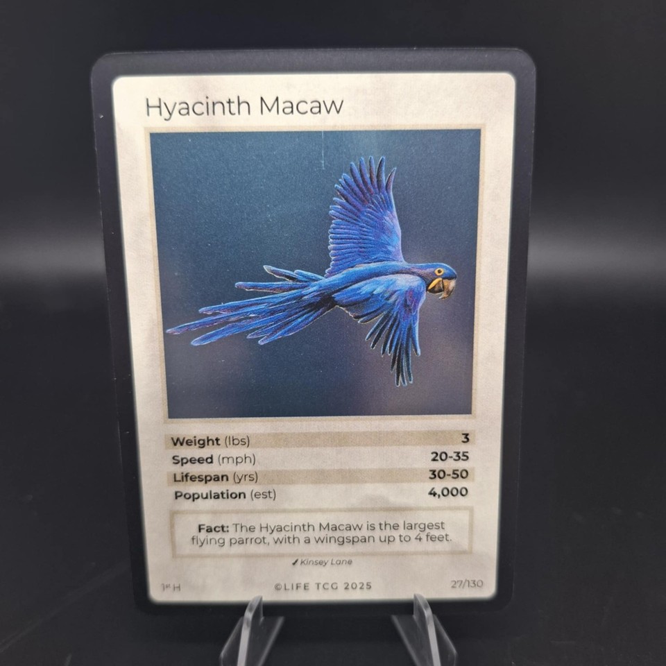 Life TCG BIRDS HOLOS : look pictures and choose your holo(s) card(s) | eBay