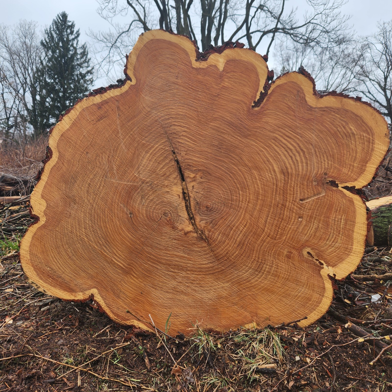 live edge wood slab round | eBay