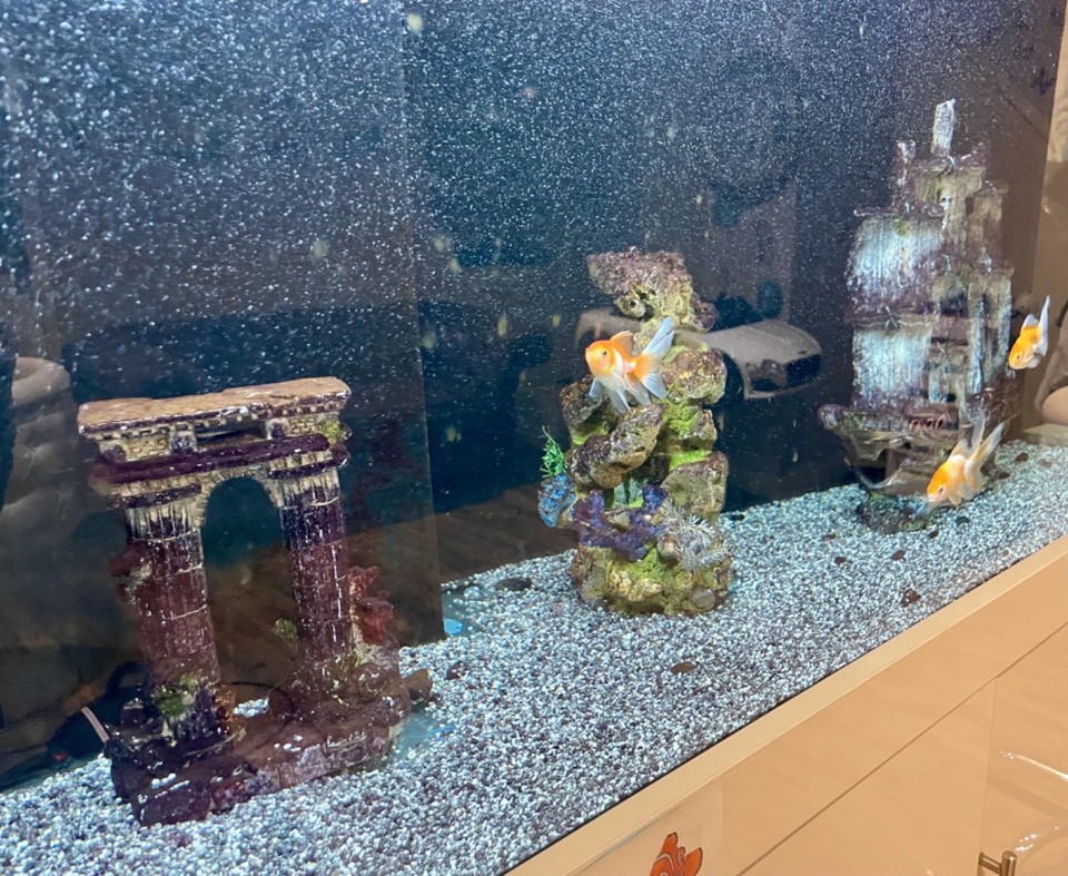 Large Cream Aquarium Fish Tank | eBay UK