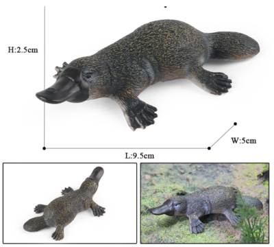 Platypus Pictures For Kids Platypus By Redback Publishing Australia