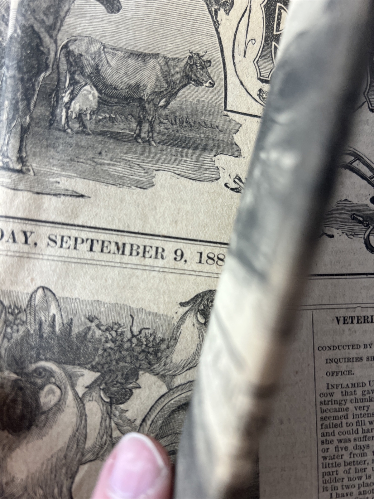 14x Mirror Farmer Newspaper 1886 Agriculture Farming New Hampshire ...