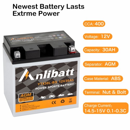 YTX30L-BS High Performance Maintenance Free Sealed AGM Motorcycle ...