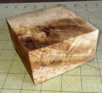 One Hawaiian Mango Block w/Curl~ 3 7/8" x 3 3/4" x 2 1/8" (#989) | eBay