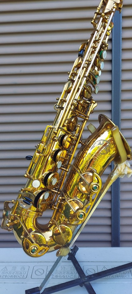 Selmer Alto Saxophone - Selmer Mark VI - Beauty | eBay