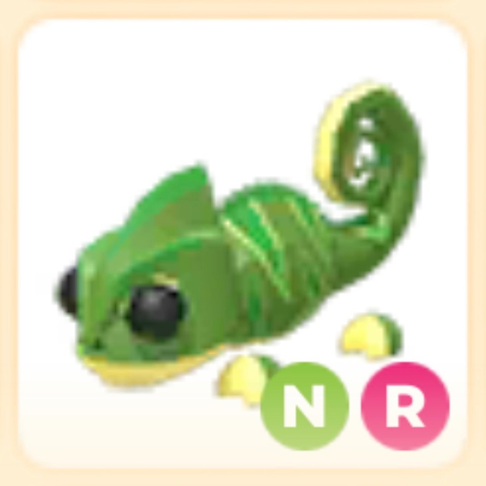 Virtual Items Cheap MFR/NFR/MR/NR Mega/Neon Fly Ride Adopt Me Pets | eBay