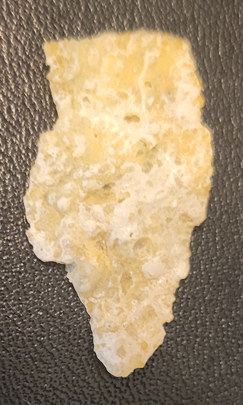 Frosted Flake shaped like state of Illinois - better than that famous ...
