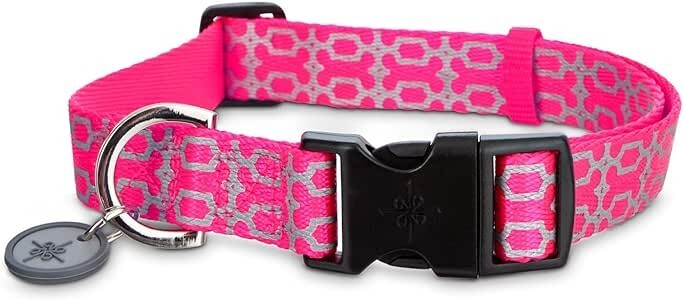 GOOD2GO DOG COLLAR WITH TAG SILENCER MEDIUM BRAND NEW WITH TAGS ON SALE ...