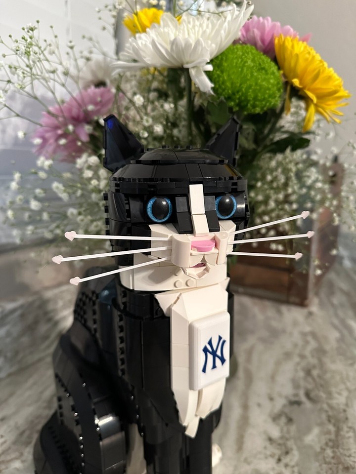 LEGO® Tuxedo Cat Valentines Whiskers! Limited Edition Heart-Tipped ...