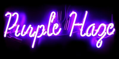 Abita Purple Haze 24" Neon Sign Light Lamp Hanging Nightlight ...