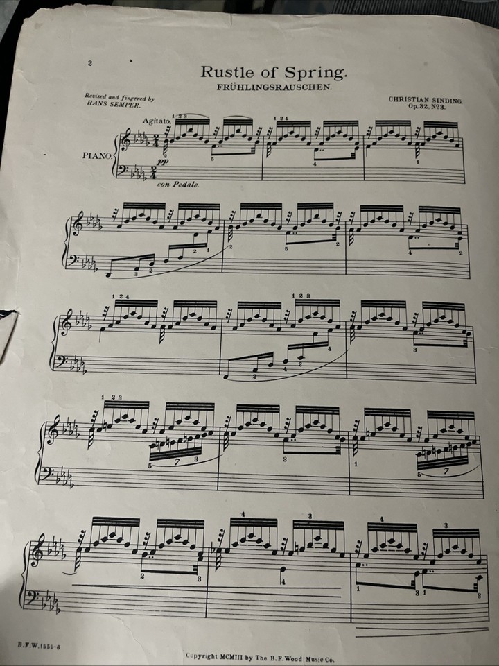 Rustle Of Spring Fruhlinhsrauschen Sinding Sheet Music | eBay