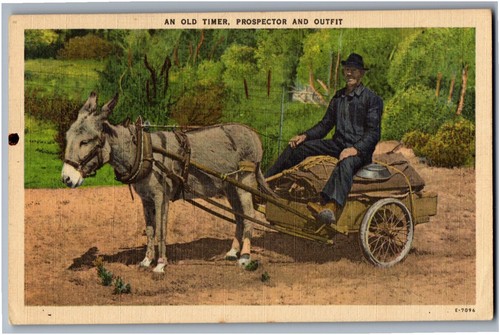 1940's AN OLD TIMER, PROSPECTOR AND OUTFIT, Donkey, Mule, Wagon ...