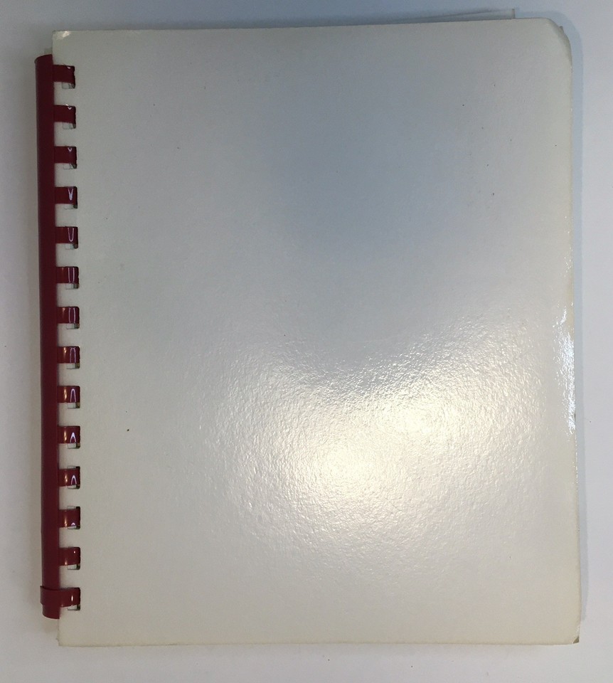 George Air Force Base Phinal Phantom Phlyers Cookbook 1992 AFB Wives ...