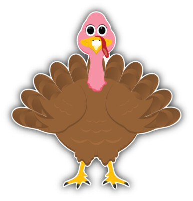 Funny Turkey Animal Car Bumper Sticker Decal - "SIZES" | eBay