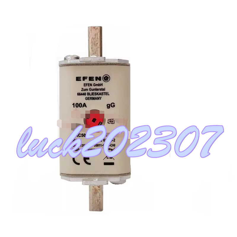 1PC NEW Fuse EFEN NH00/500V GG 2 4 6 10 16 20 25A 32 35 40A 50A 63A #ZJ ...
