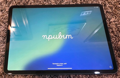 Apple iPad Pro 11-inch (2nd generation) A2228 256 GB, Wi-Fi, 11 in ...