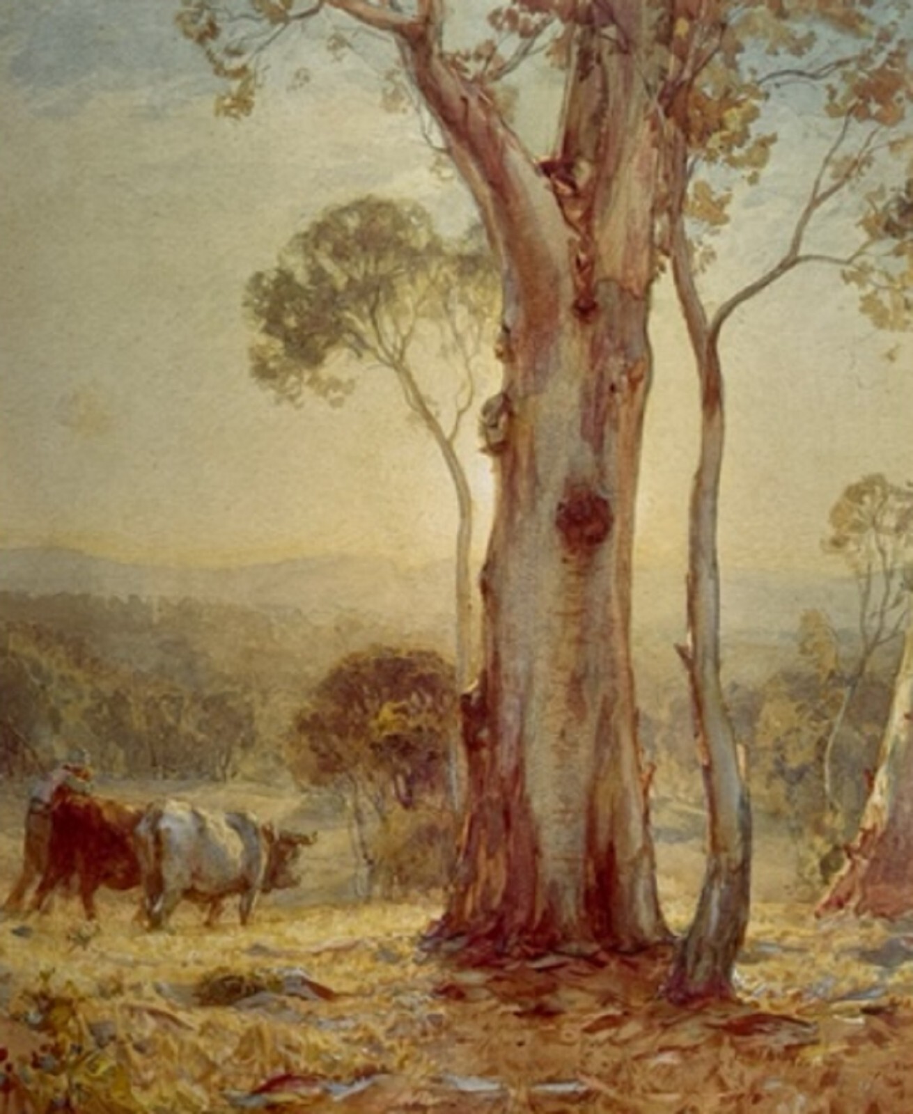 AUSTRALIAN ART IN THE AUSTRALIAN NATIONAL GALLERY 1988 JOHN MCPHEE ...