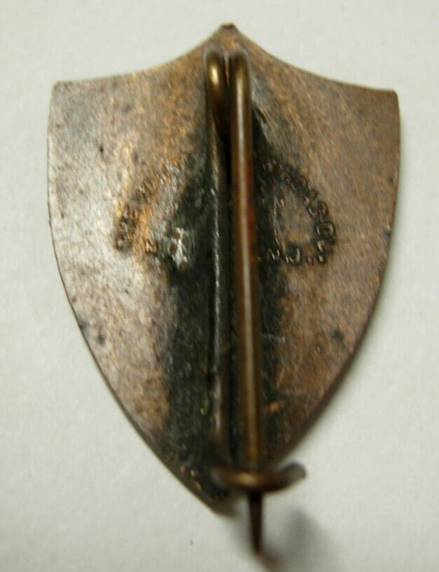 WW1 Illinois Council of Defense Training Corps Bronze Shield Pin - PB ...